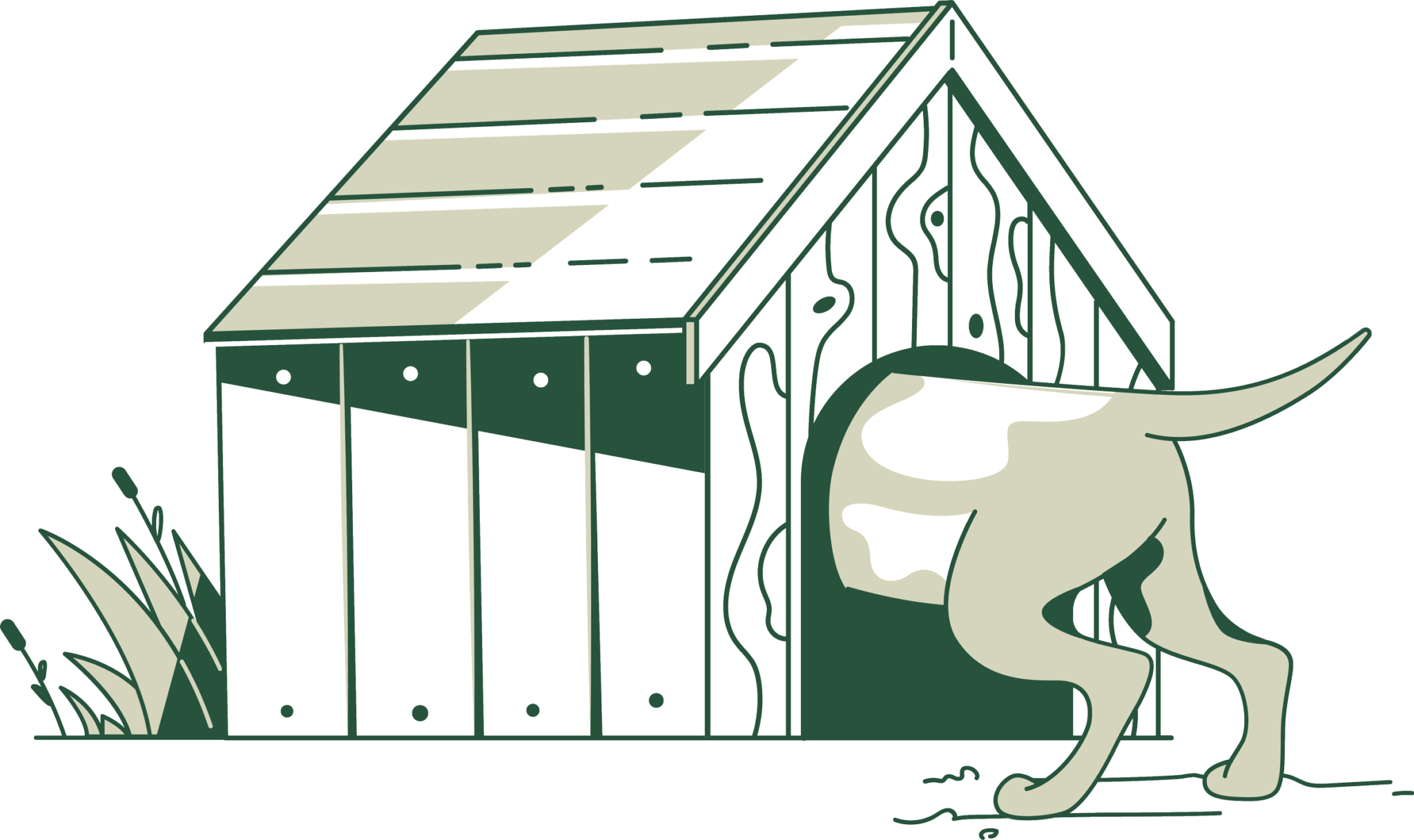 Cane Corso Puppy Breeder - True Believers Cane Corso