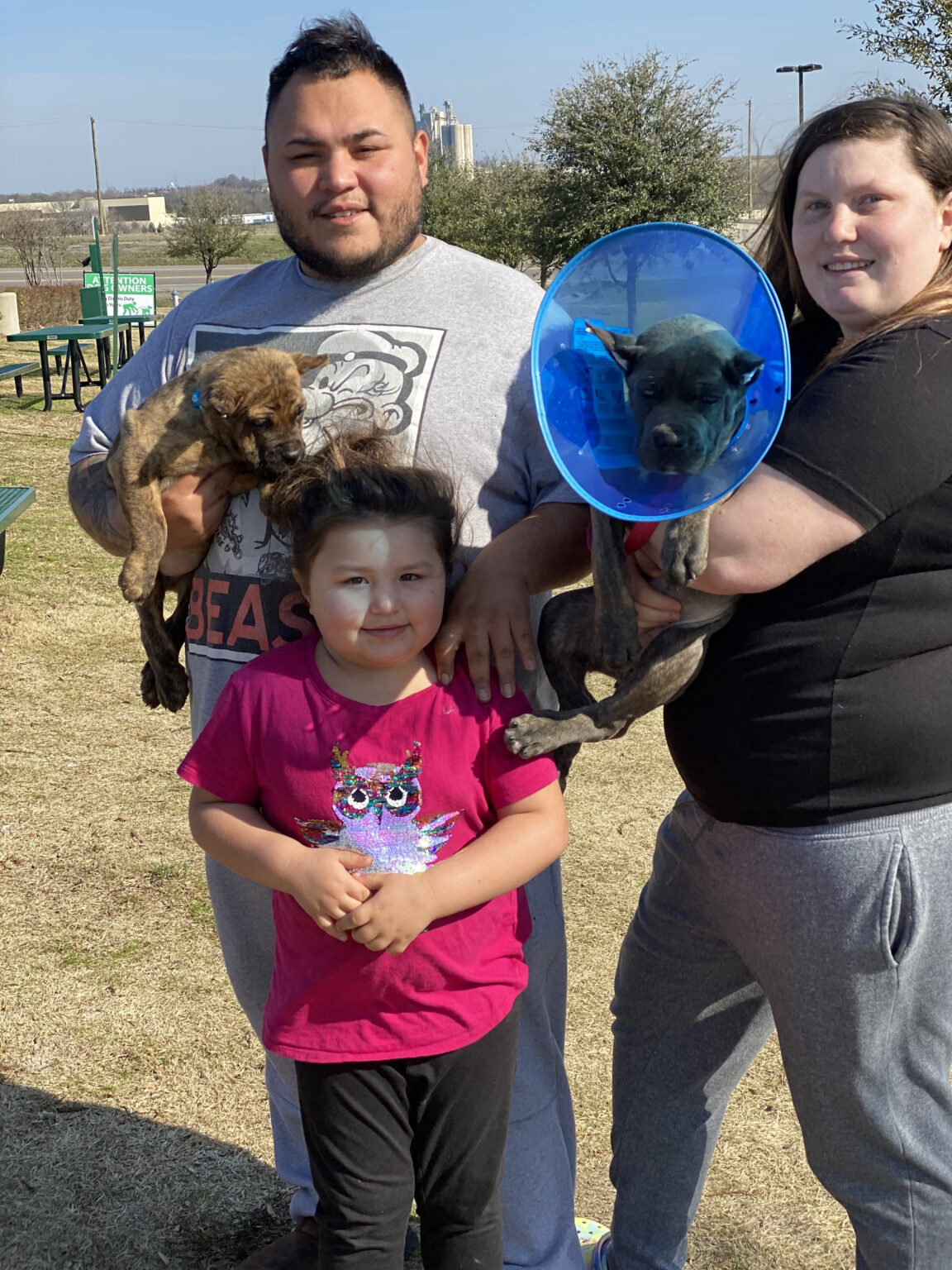 Cane Corso Puppy Breeder - True Believers Cane Corso